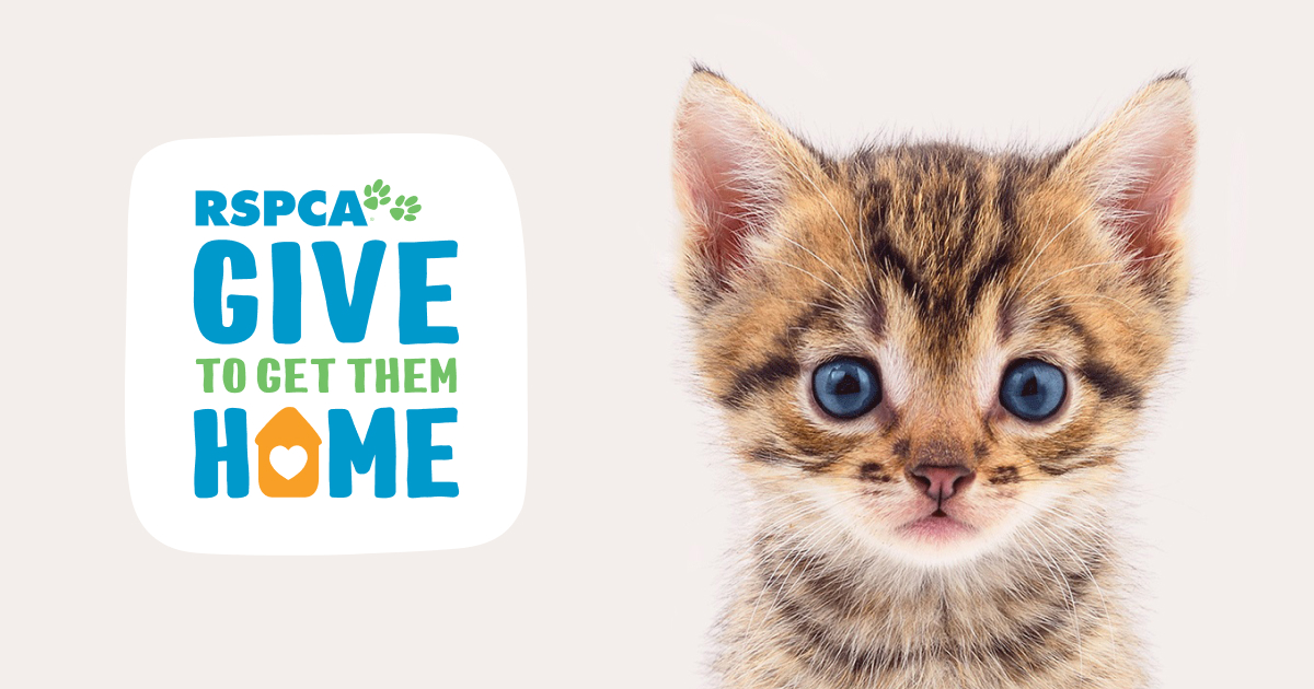 RSPCA Giving Day : EOI 2022